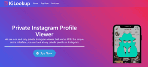 How to View Instagram Private Accounts in 2021 (No Surveys)- 9 Best Tools