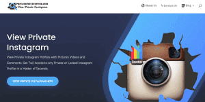 15 Best Private Instagram Viewer Apps 2022 (No Surveys)